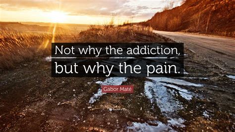 Gabor Maté Quote “not Why The Addiction But Why The Pain”