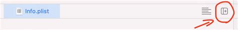 Xcode12 In Xcode 12 In Infoplist File Column Expanding Or Resizing