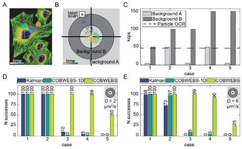 Uneven Background Simulations A Cartoon Of A Diffusive Trajectory Of Download Scientific