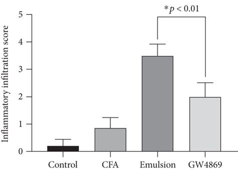 Akt Mtor Signaling Pathway Activation Was Detected In Pcm And Download Scientific Diagram