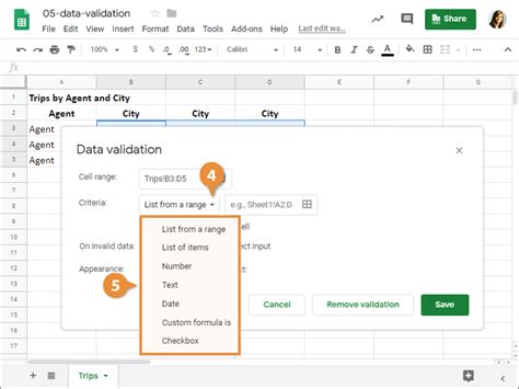 Data Validation Customguide