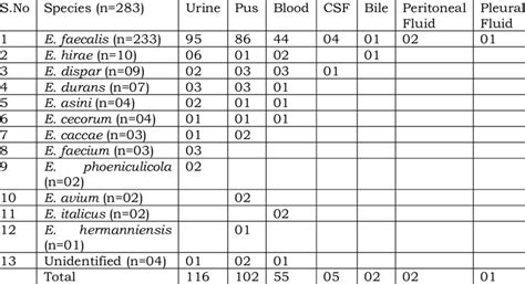 Distribution Of Enterococcus Species In Various Clinical Specimens
