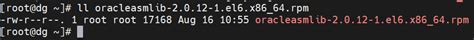 详解oracle asmlib软件 墨天轮