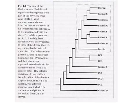 Bioinformatics T6 Phylogenetics V2014 Ppt