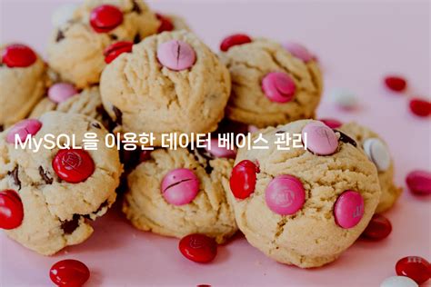 Mysql을 이용한 데이터 베이스 관리 보안냥이