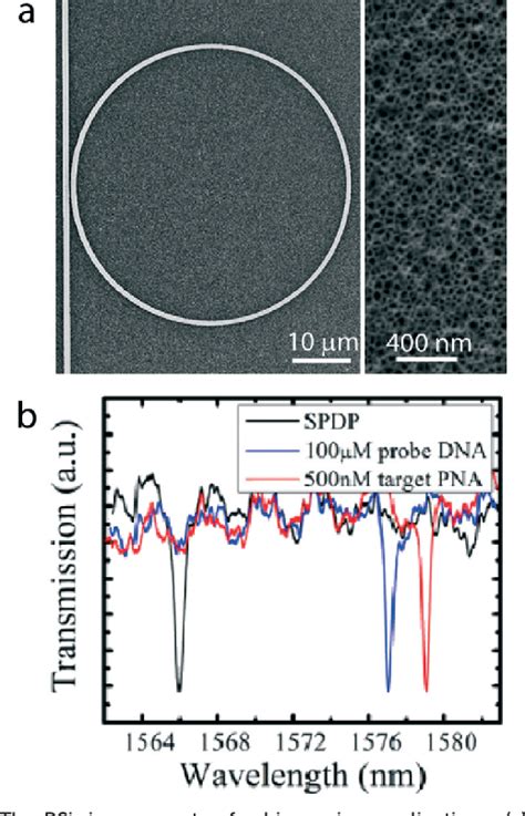 Figure 15 From Oligonucleotide Based Label Free Detection With Optical