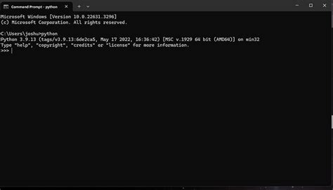 Exiting Because Of An Error Could Not Determine Python Version Exit Status 103 🐛 Bug And Error
