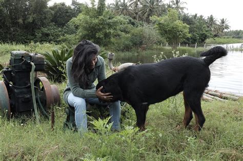 Being Vanilla That Folder Medium