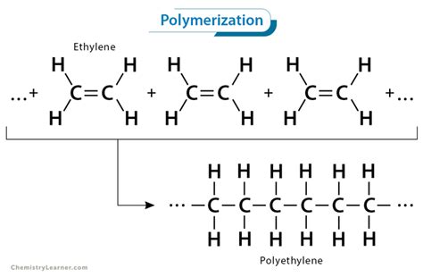 Dimerization Definition Types Examples And Applications