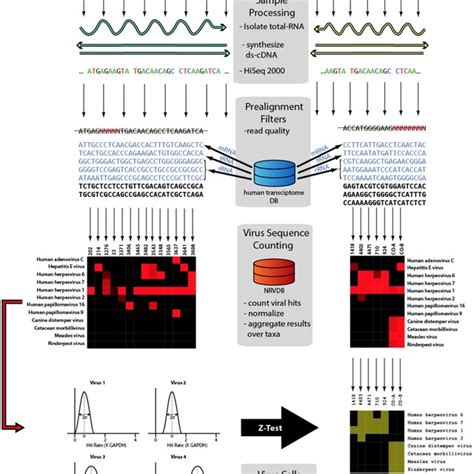 Overview Of The Deep Sequencing Analysis Pipeline Download
