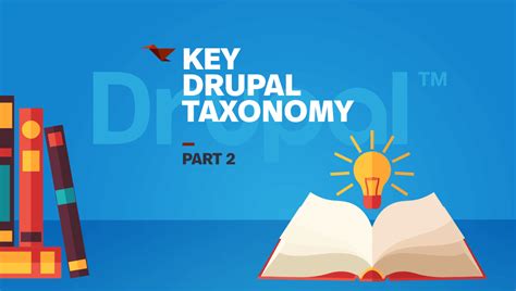Key Drupal Taxonomy Part 2 Mobomo Mobomo