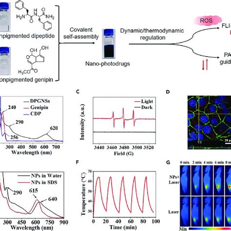 Covalently Assembled Peptide Based Nanoparticles For Drug Delivery A
