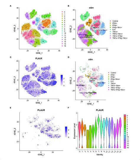 Analysis Of Single Cell Sequencing Data To Confirm The Role Of Tnfa