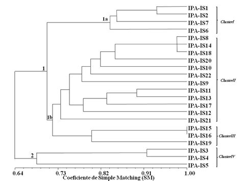 dendrogram of similarity based on the ardra amplified ribosomal dna