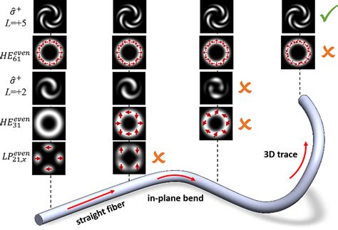 What Are The Different Types Of Propagation Modes In Optical Fiber At