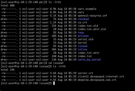 How To Create An Aws Client Vpn Devops Pod