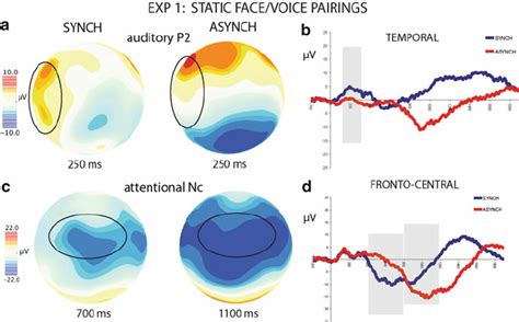 4 Summary Of Experiment 1 Results A Grand Average Scalp Topography Download Scientific