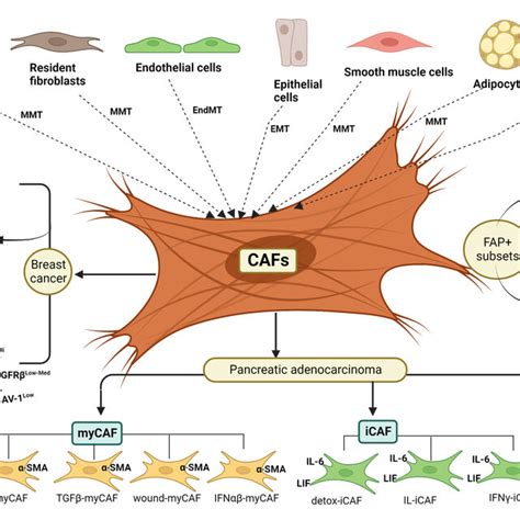 Fibroblast Mediated Signaling In Shaping The Drug Resistance In A