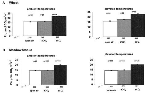 Mean Rates Of Photosynthesis Of The Flag Leaves Of Spring Wheat