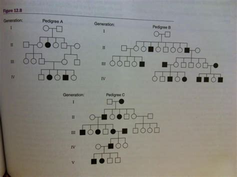 For Each Of The More Complex Pedigrees Shown In