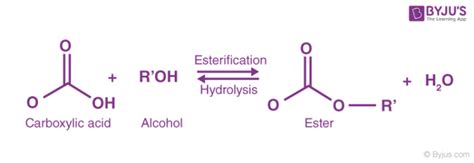 Reaction Desterification Et Reflexion