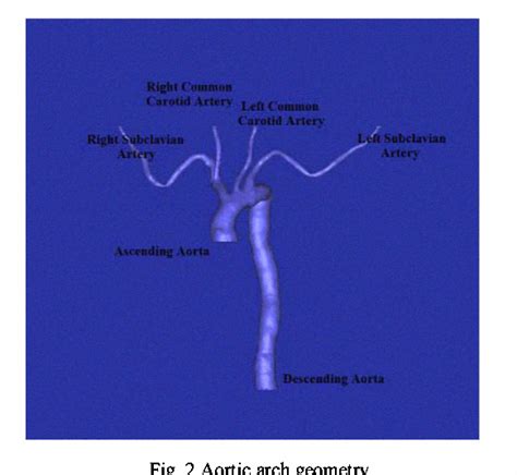 Figure 2 From Oscillatory Flow In Human Arteries Semantic Scholar