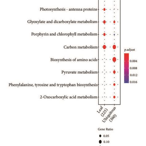 workflow diagram summarizing analysis process about rice download