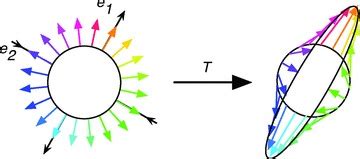 Comparison Of Component Wise Tensor Interpolation A And Linear Download Scientific Diagram