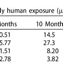 Daily Human Exposure Levels In DEP In Different Time Intervals Download Scientific Diagram