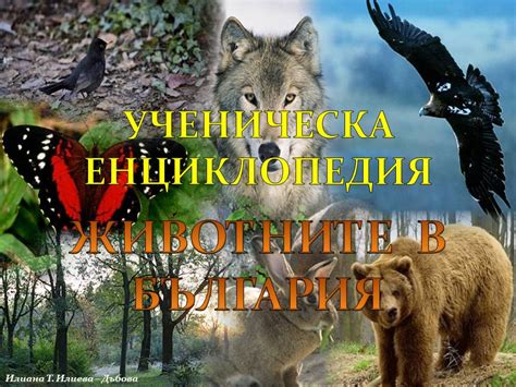 Образователен блог 2010