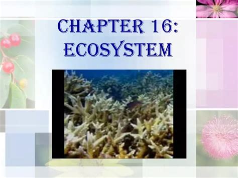 PPT Chapter ECOSYSTEM PowerPoint Presentation Free Download ID