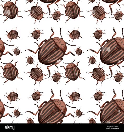 Beetle Insect Seamless Background Stock Vector Image Art Alamy