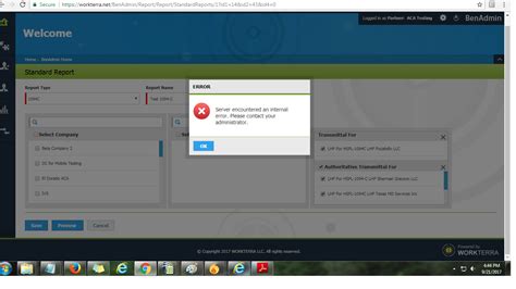 WT Functional Standard Reports C Server Error Is Populating For Preview Report