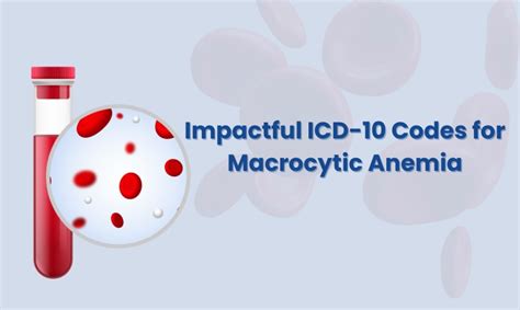 Impactful Icd 10 Codes For Macrocytic Anemia