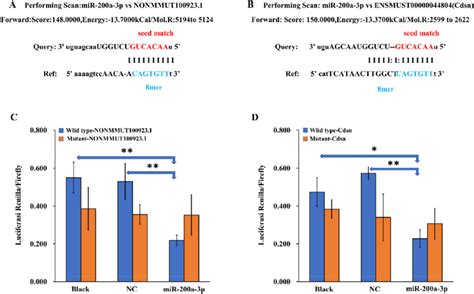 The Dual Luciferase Assay Analysis The Dual Luciferase Assay Was Used Download Scientific