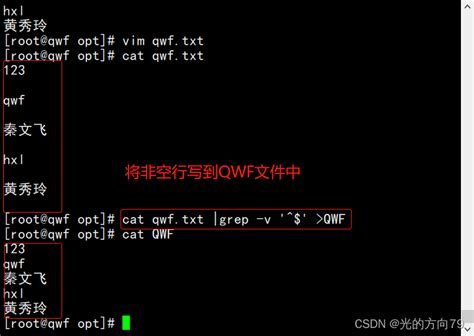 Shell编程之正则表达式匹配含有字符o后面紧跟字符o或者t的文本行 Csdn博客