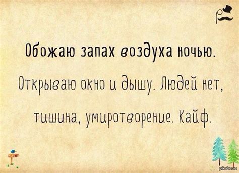 Ночь Пикабу