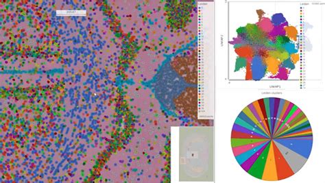 Spatial Transcriptomics Technology High Resolution In Single Cells
