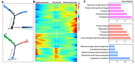 Spatial Transcriptome Combined With Single Cell Sequencing Reveals