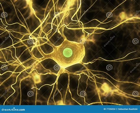 Nerve Cell Stock Illustration Illustration Of Cell Head