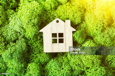 개인 시골 집의 상징으로 식물의 배경에 작은 장난감 집 모기지 부동산의 개념 햇빛 보험에 대한 스톡 사진 및 기타 이미지 보험 가정 생활 이끼 Istock