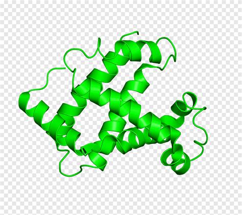 Green Leaf Line Leaf Leaf Grass Png Pngegg