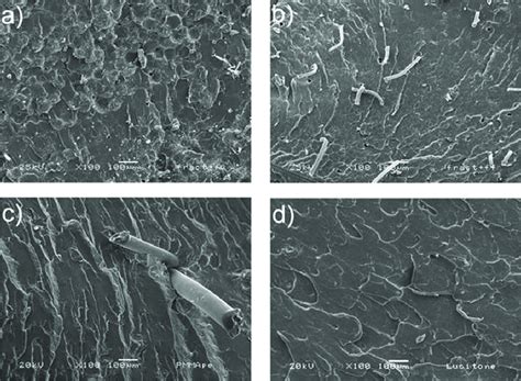 Fracture Surface Observations After The Flexural Behavior Tests A Download Scientific