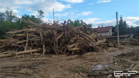 Инж Стоян Тошев Няма незаконна сеч в Карловско Има административни нарушения От деня БНР