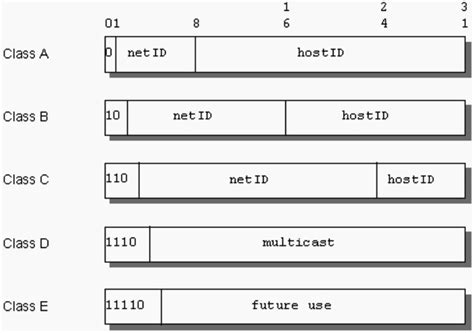 Network Services Components TCP IP DHCP DNS