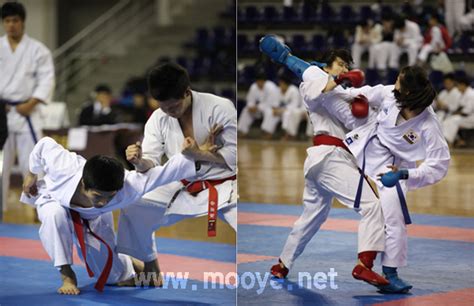 2012 국제공수도 무예대제전 개최 무예신문 대한민국 대표 무예체육뉴스