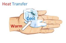 Mrs Lagrana S Grade 2 Class Heat Heat Transfer And Insulation