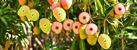 Computer Vision In Agriculture And Farming 7 Use Cases Lemberg Solutions