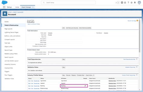 Salesforce Default Values