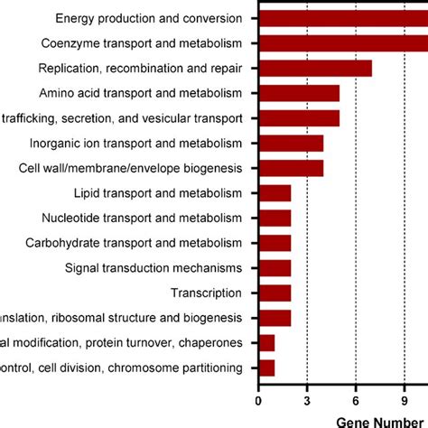 Cog Analysis Of The Promoter Regions Of Genes Enriched In Ctra Chip Seq Download Scientific